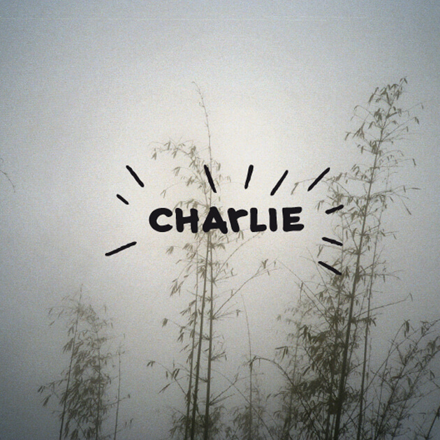 Charlie - Club and vietnam restaurant - TheDot München
